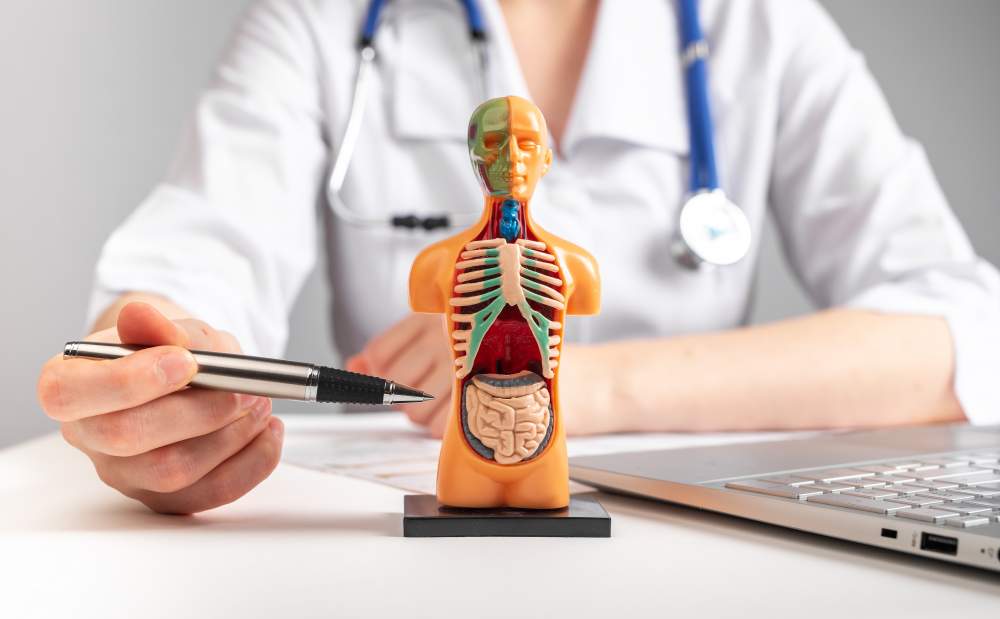 Dokter Internis Surabaya - Piffle.me
